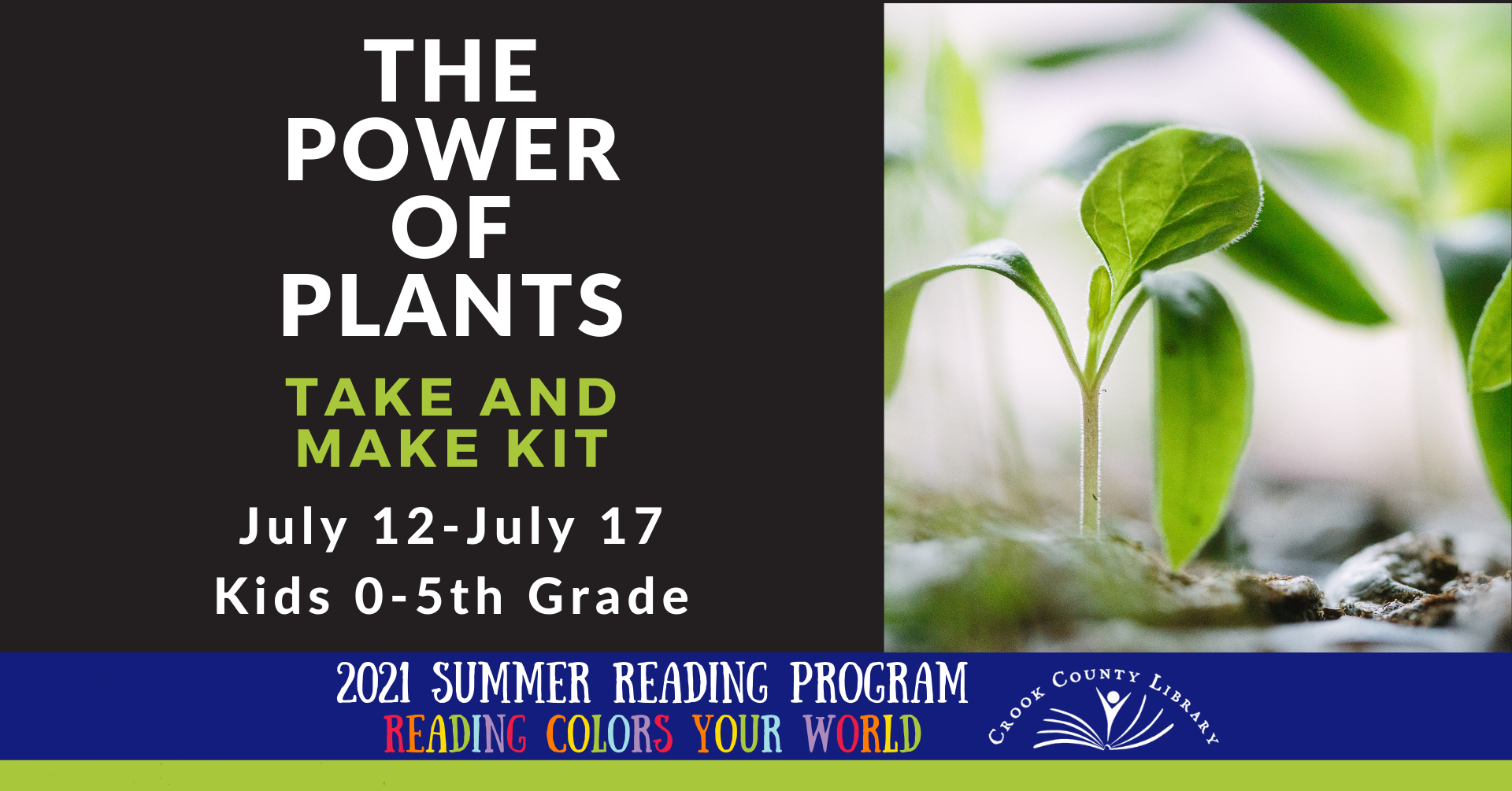 2021 Kids Summer Reading Program: Power of Plants Take and Make Kit ...